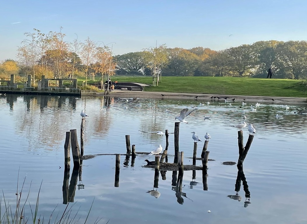 Wetlands - Firs Farm Wetlands Winchmore Hill, North London